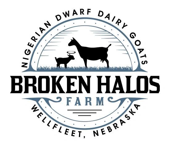 Broken Halos Soaps